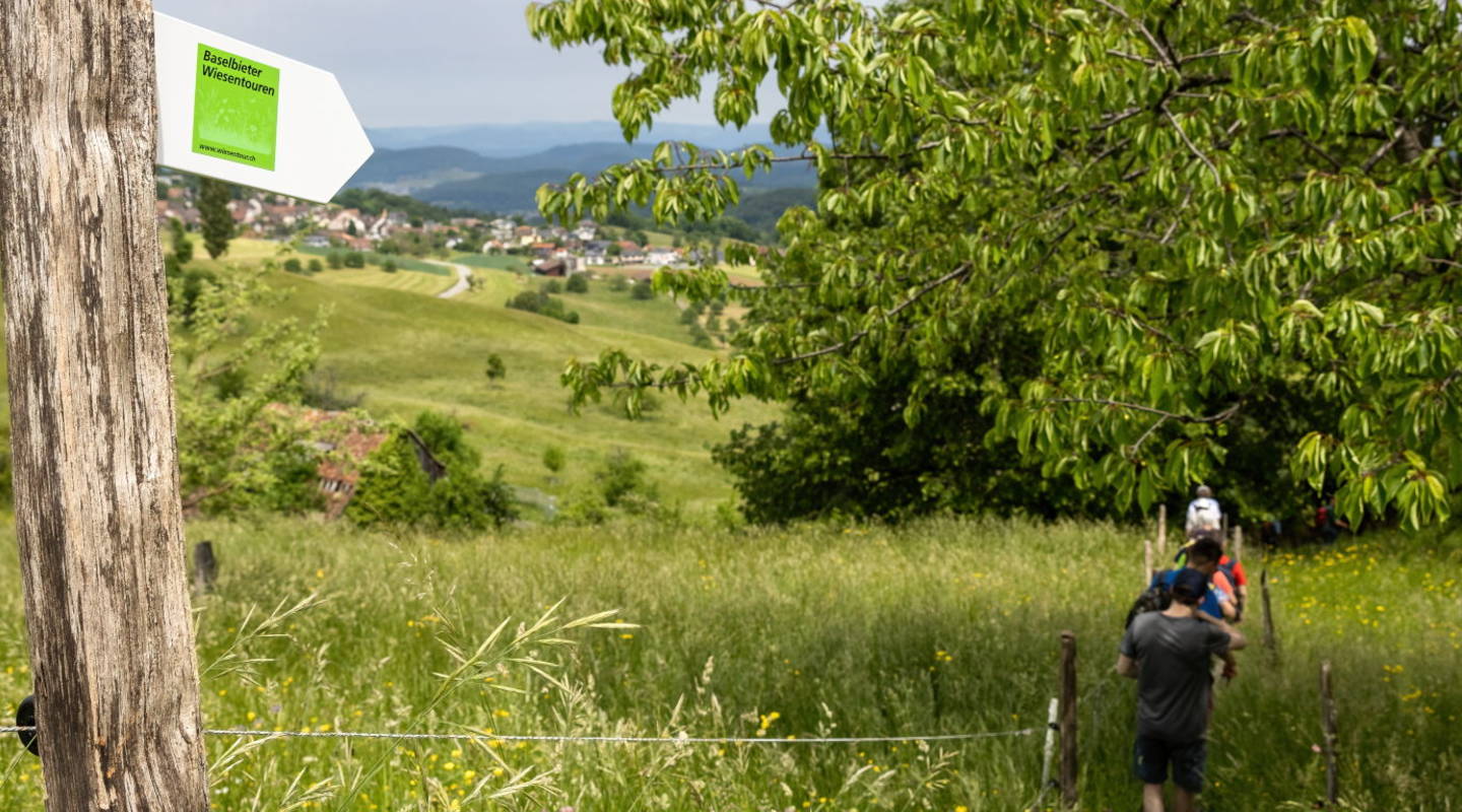 Die Baselbieter Wiesentouren sind ab sofort erlebbar | Pro Natura Baselland